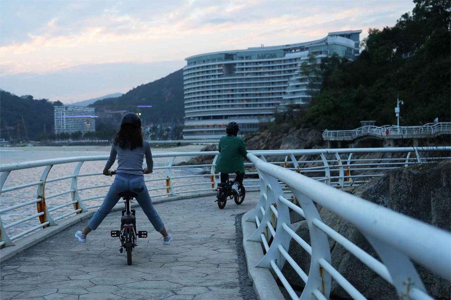 Finbike U3 Folding Electric Bike 250W 55km Range 2-3h Charge – FinBike.com